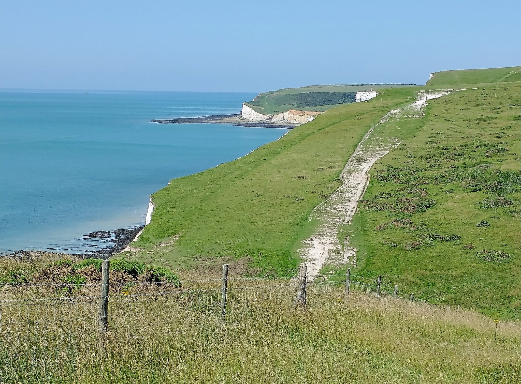 Chalk grassland survey Crowlink and Gayles Farm July Part 2 ...