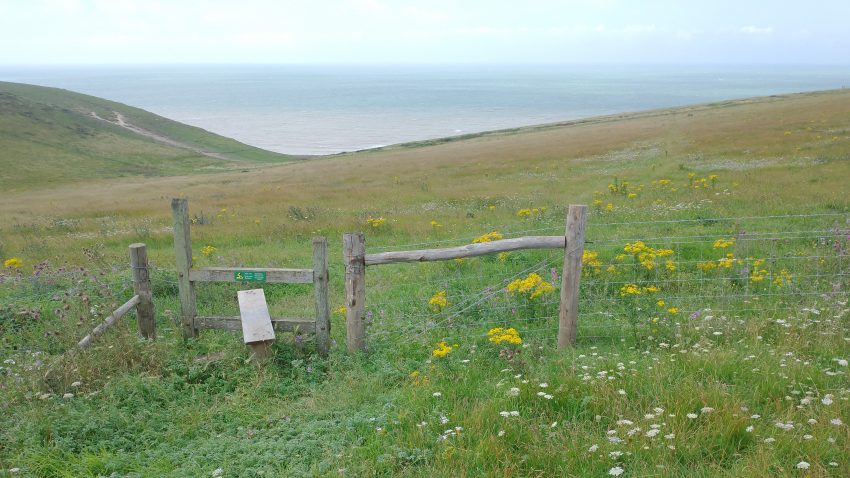 Chalk grassland survey Crowlink and Gayles Farm July Part 4 ...