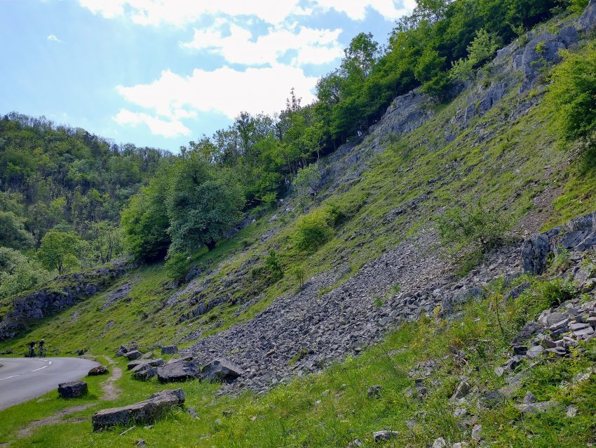 Flora of Cheddar Gorge in May - Photographing Wildflowers