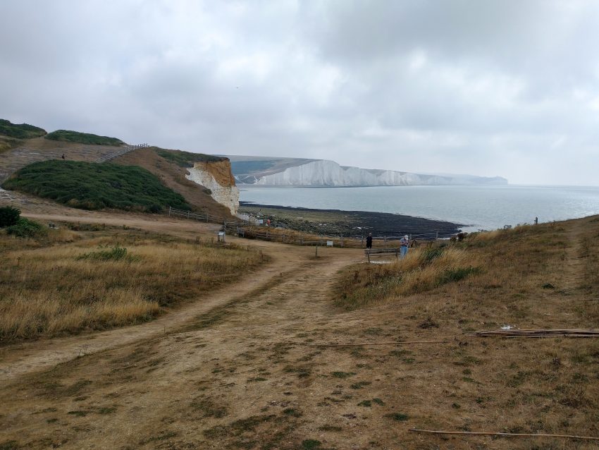 Late summer wildflowers of Seaford Head in a dry August - Photographing ...